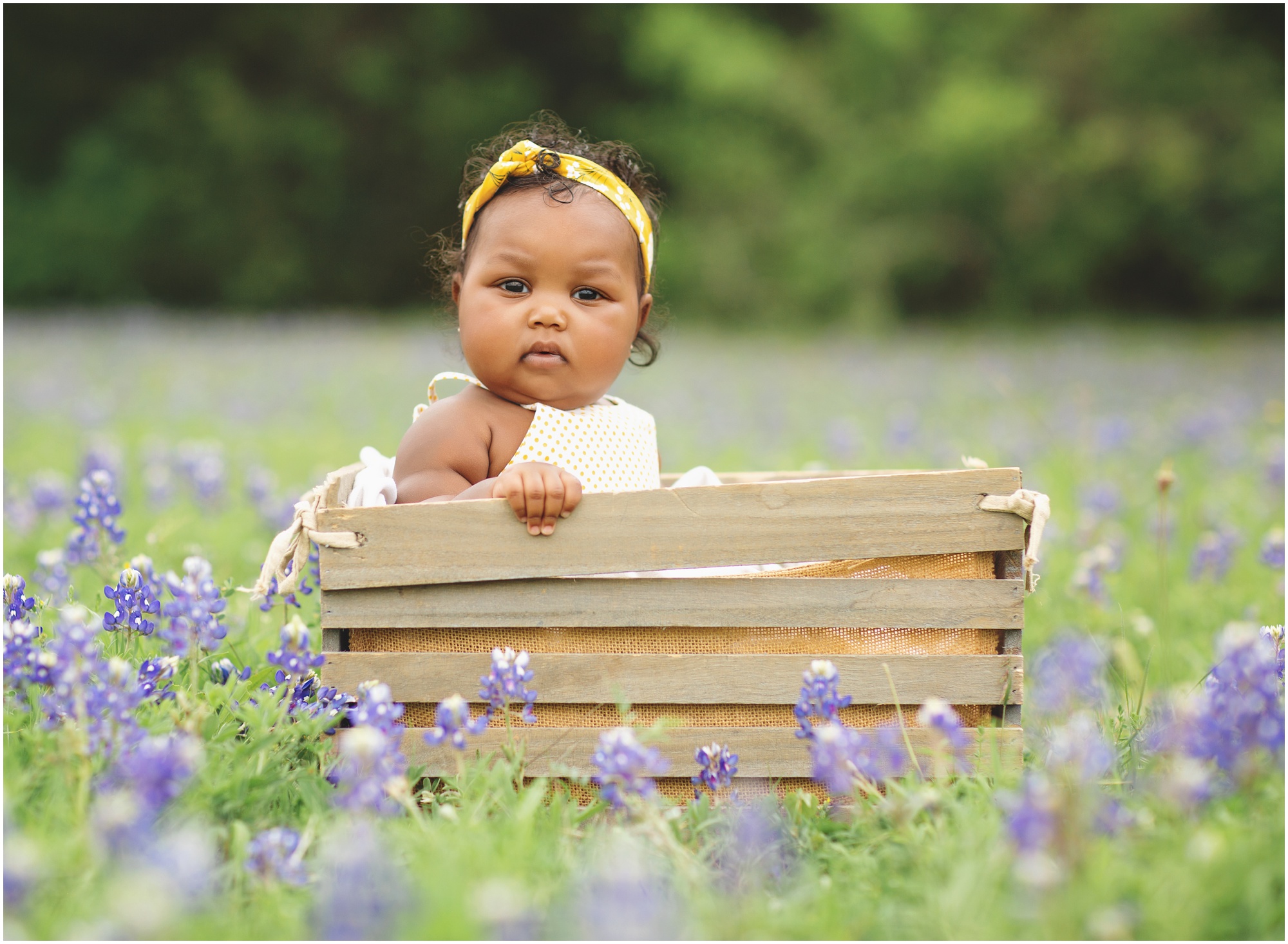Bluebonnet Mini Session Tips & What To Expect • Jen Lyon Photography